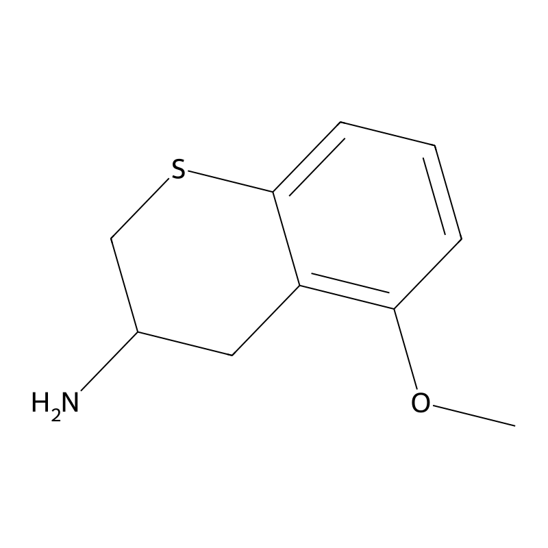 Buy 5-Methoxy-thiochroman-3-ylamine | 109140-19-4