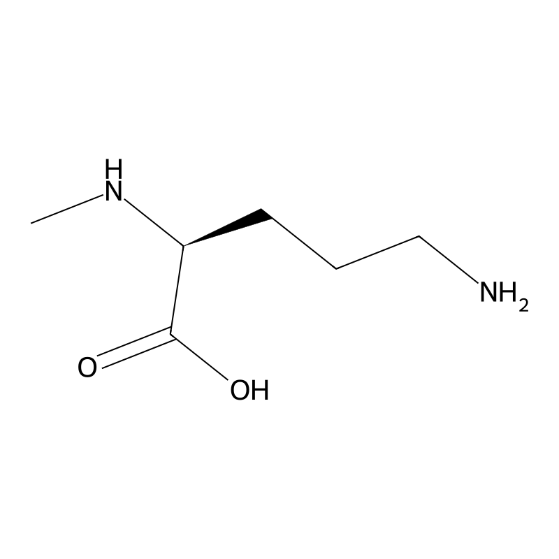 Buy L-Ornithine, N2-methyl- | 16748-29-1