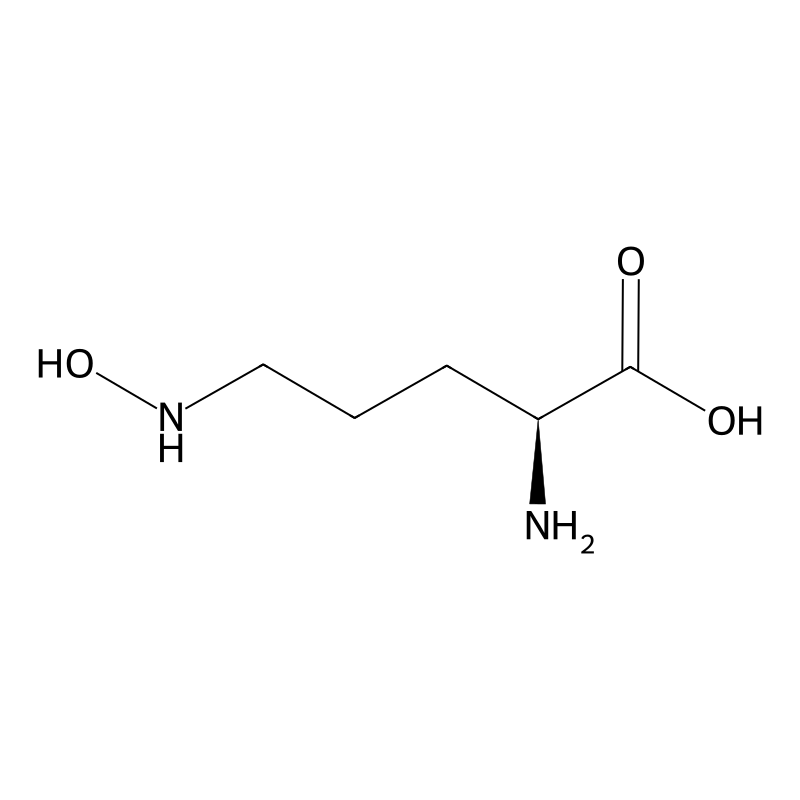 Buy N(5)-Hydroxy-L-ornithine | 35187-58-7