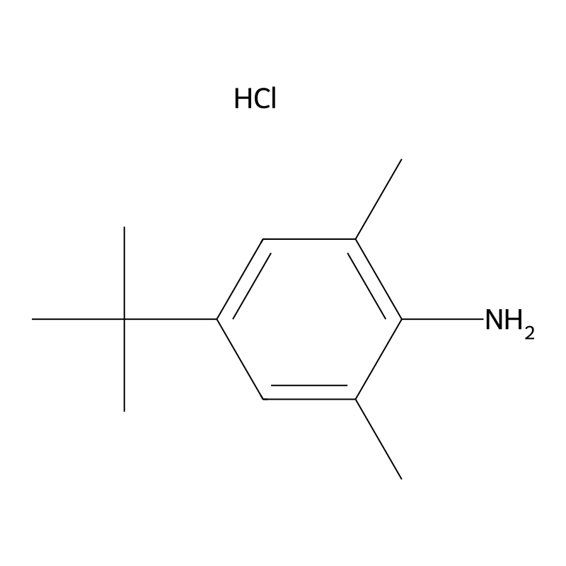 Buy 4-tert-Butyl-2,6-dimethylaniline hydrochloride | 859784-19-3