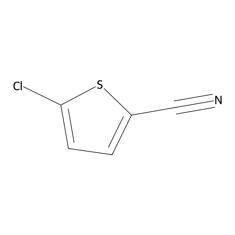 Buy 5-chlorothiophene-2-carbonitrile | 50478-16-5