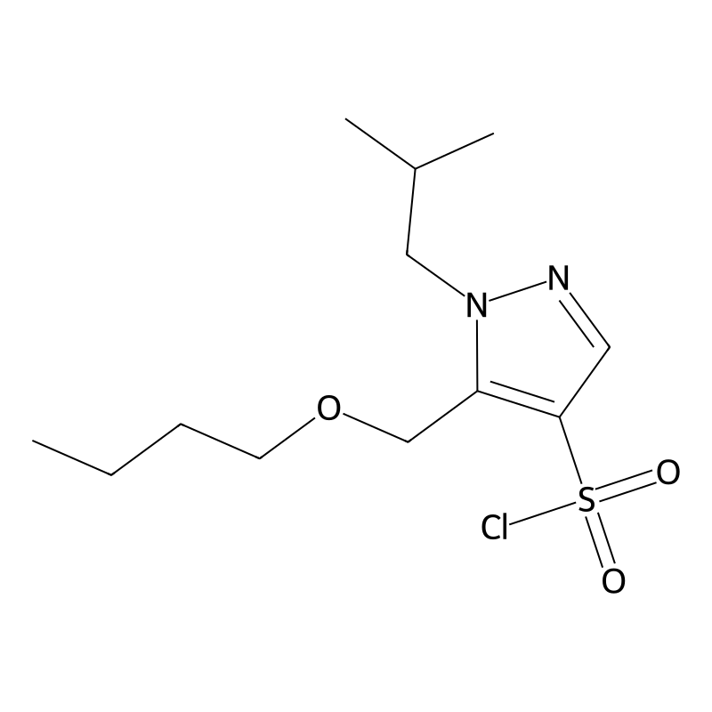 Buy 5-(butoxymethyl)-1-isobutyl-1H-pyrazole-4-sulfonyl chloride ...