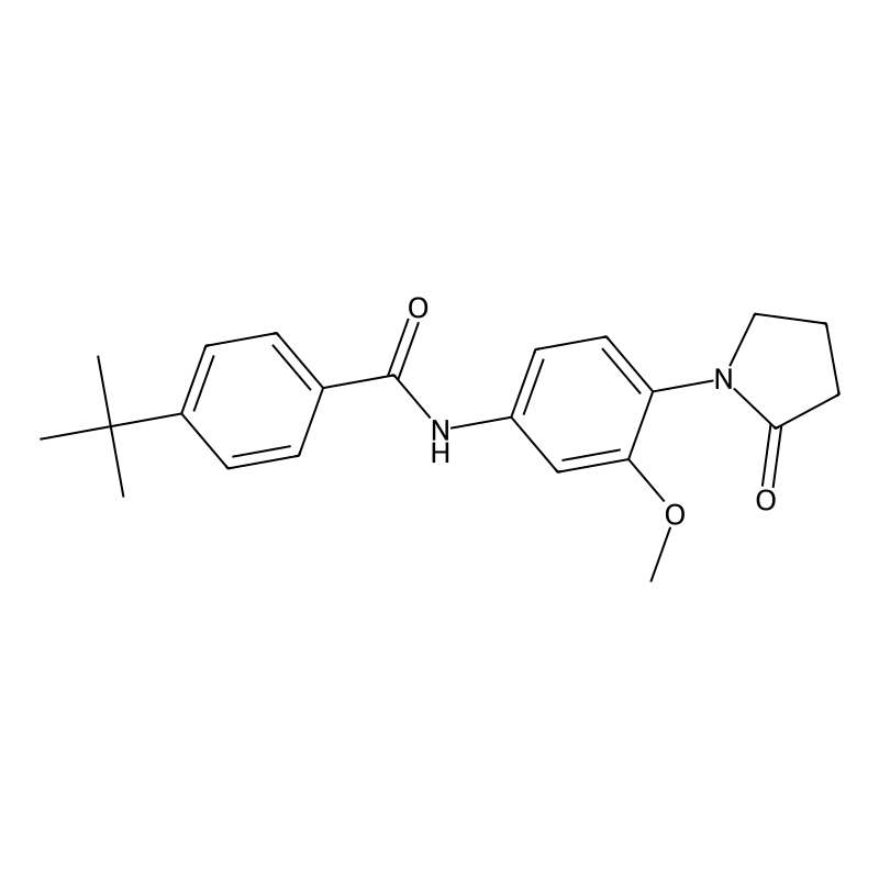 Buy 4-tert-butyl-N-[3-methoxy-4-(2-oxopyrrolidin-1-yl)phenyl]benzamide ...