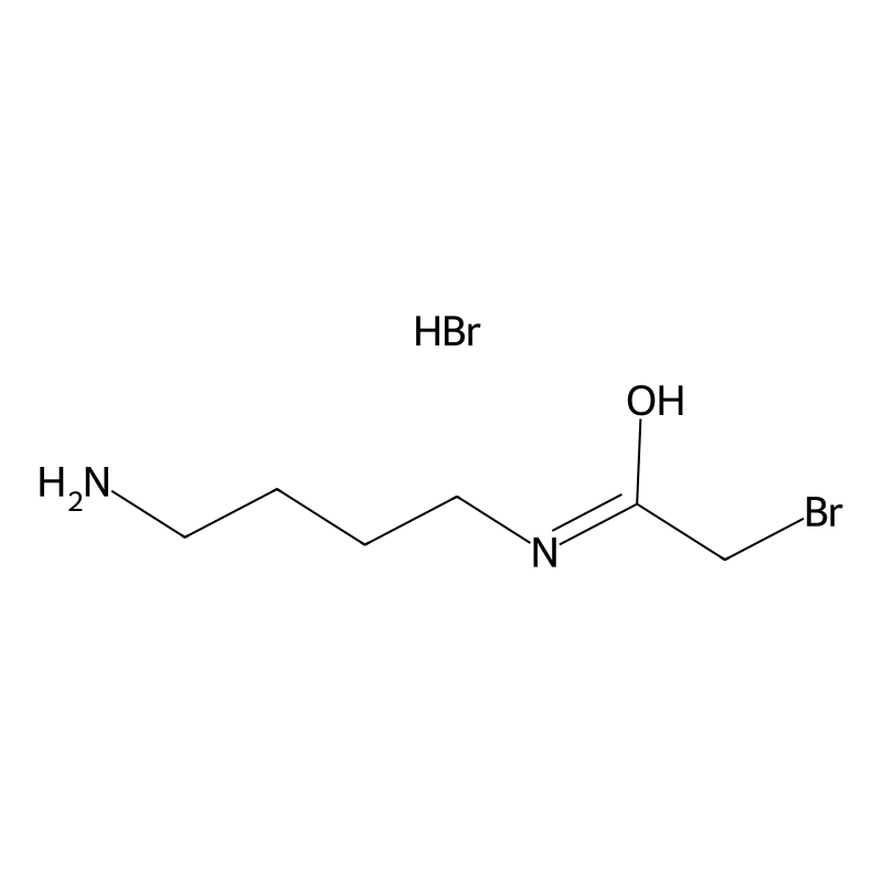 Buy N-(4-aminobutyl)-2-bromoacetamide hydrobromide | 14667-45-9