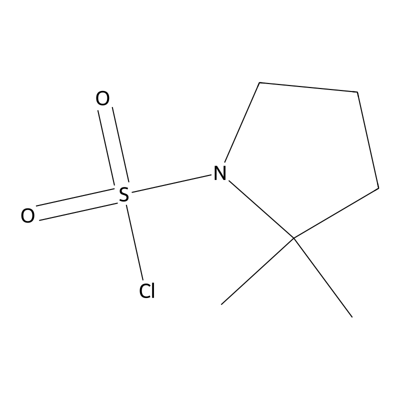 Buy 2,2-Dimethylpyrrolidine-1-sulfonyl chloride | 1344298-45-8