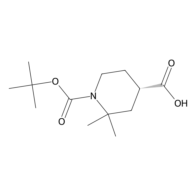 Buy S 1 tert Butoxycarbonyl 2 2 dimethylpiperidine 4 carboxylic buy-s-1-tert-butoxycarbonyl-2-2-dimethylpiperidine-4-carboxylic