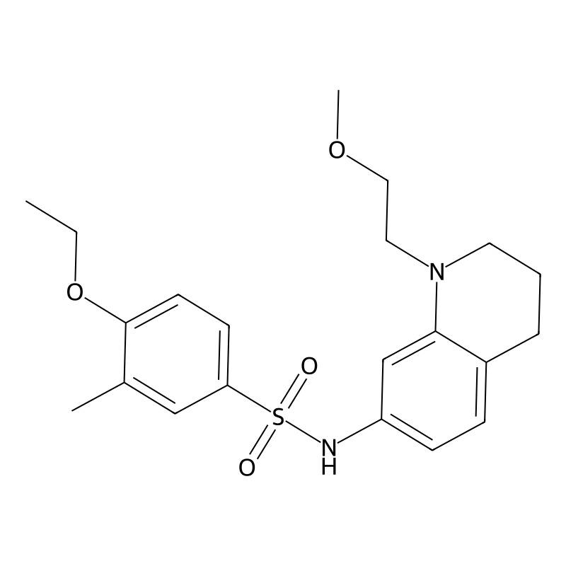 Buy 4-ethoxy-N-(1-(2-methoxyethyl)-1,2,3,4-tetrahydroquinolin-7-yl)-3 ...