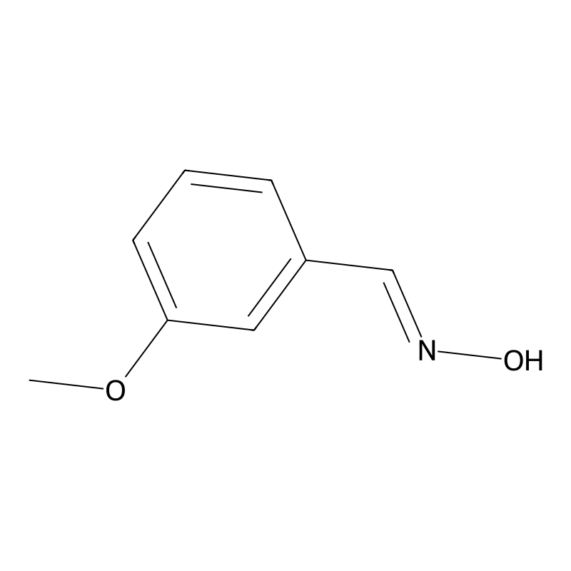 Buy 3-Methoxy-benzaldehyde oxime | 52707-52-5