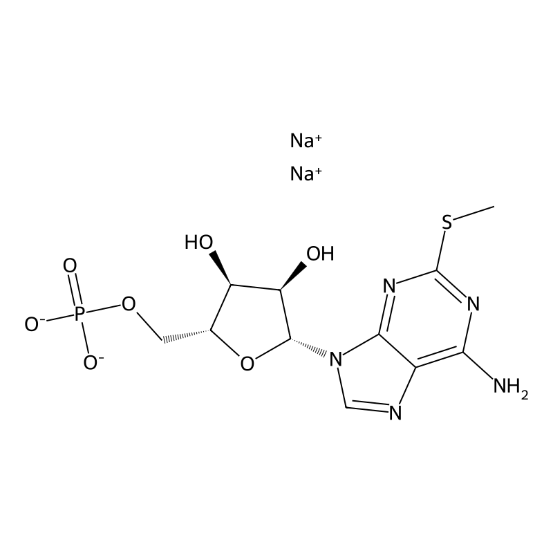 Buy 2-MeS-AMP bis-sodium | 81921-45-1 | >98%