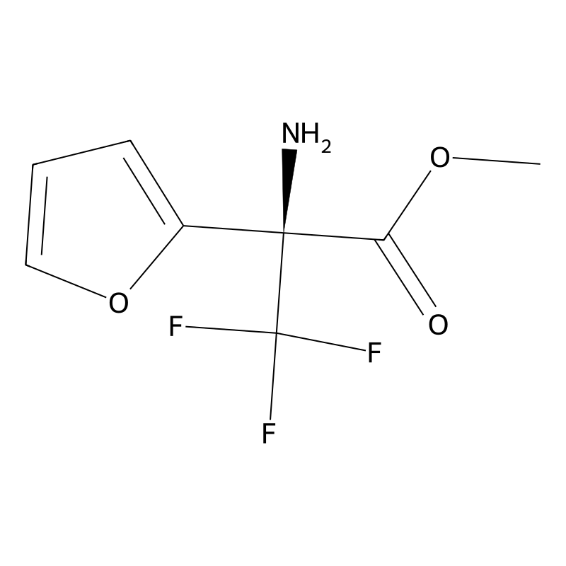 Buy Methyl 3,3,3-trifluoro-2-(2-furyl)alaninate | 1272754-89-8