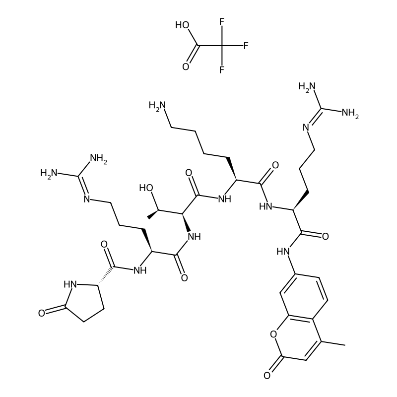 Buy Pyr-Arg-Thr-Lys-Arg-AMC TFA | 1255501-99-5