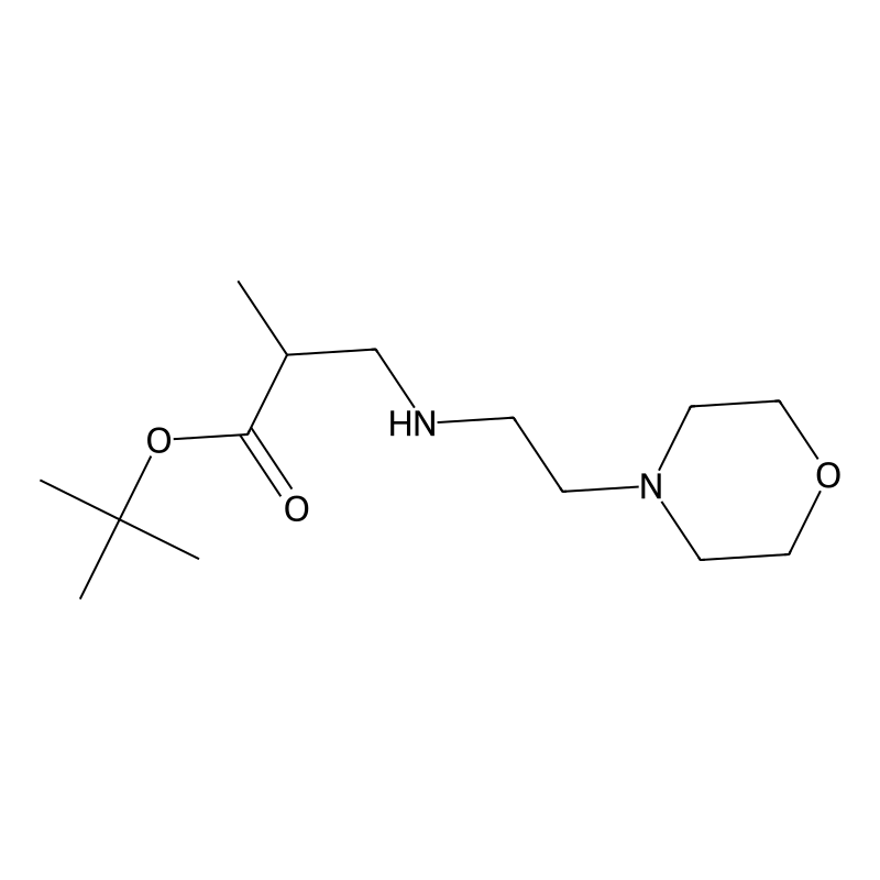 Buy tert-Butyl 2-methyl-3-{[2-(morpholin-4-yl)ethyl]amino}propanoate ...