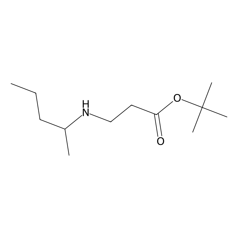 Buy tert-Butyl 3-[(pentan-2-yl)amino]propanoate | 1221341-27-0