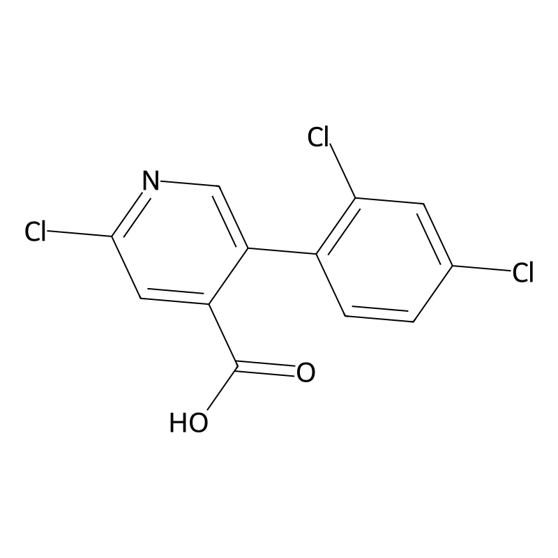 Buy 2-Chloro-5-(2,4-dichlorophenyl)isonicotinic acid, 95% | 1261899-58-4