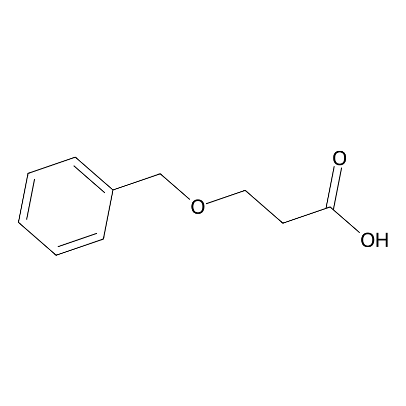 Buy 3-(Benzyloxy)propanoic acid | 27912-85-2