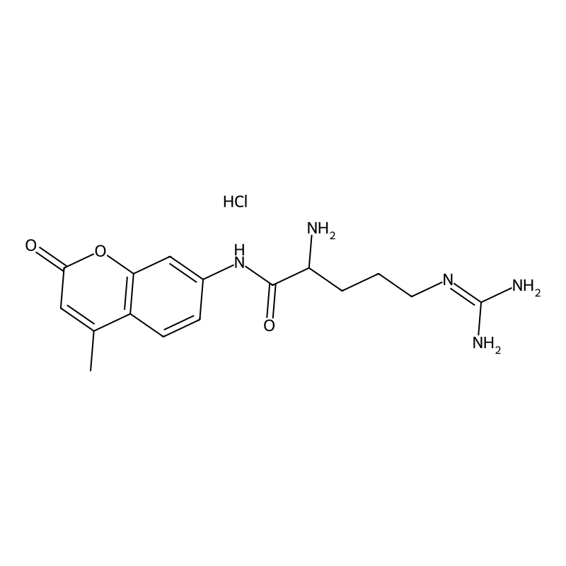 H-Arg-AMC hydrochloride salt