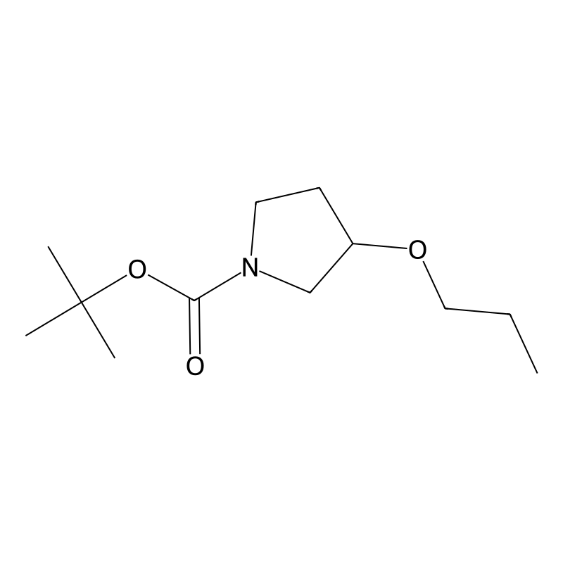 Buy Tert-butyl 3-propoxypyrrolidine-1-carboxylate | 1175835-99-0