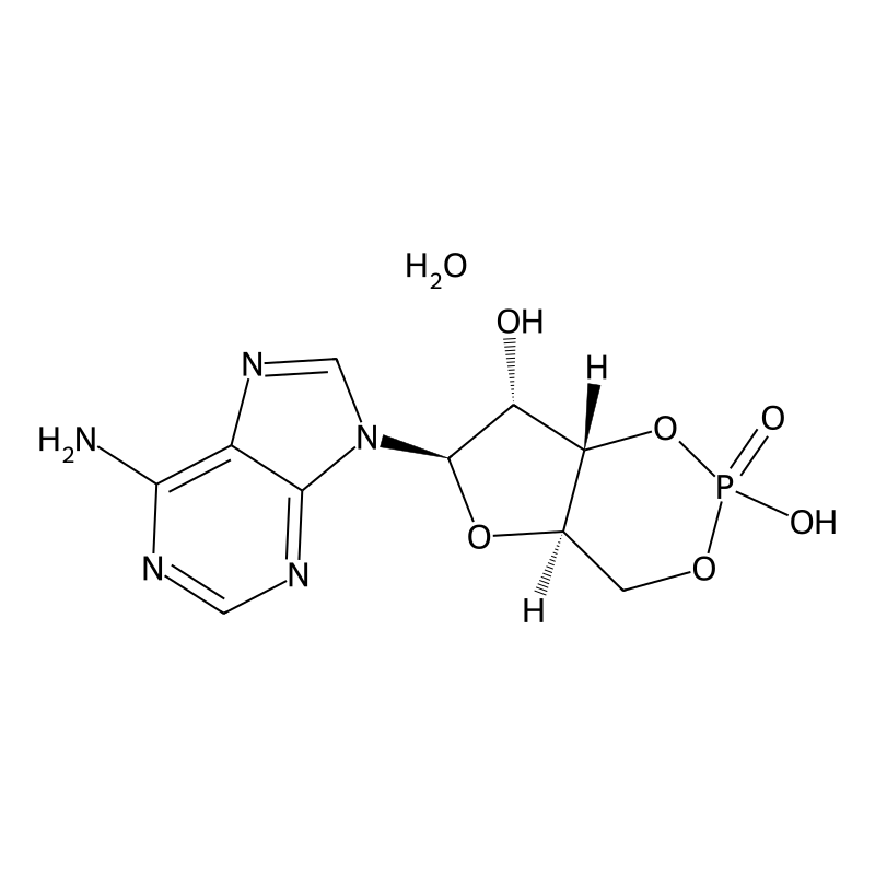 Buy 3',5'-Cyclic amp hydrate