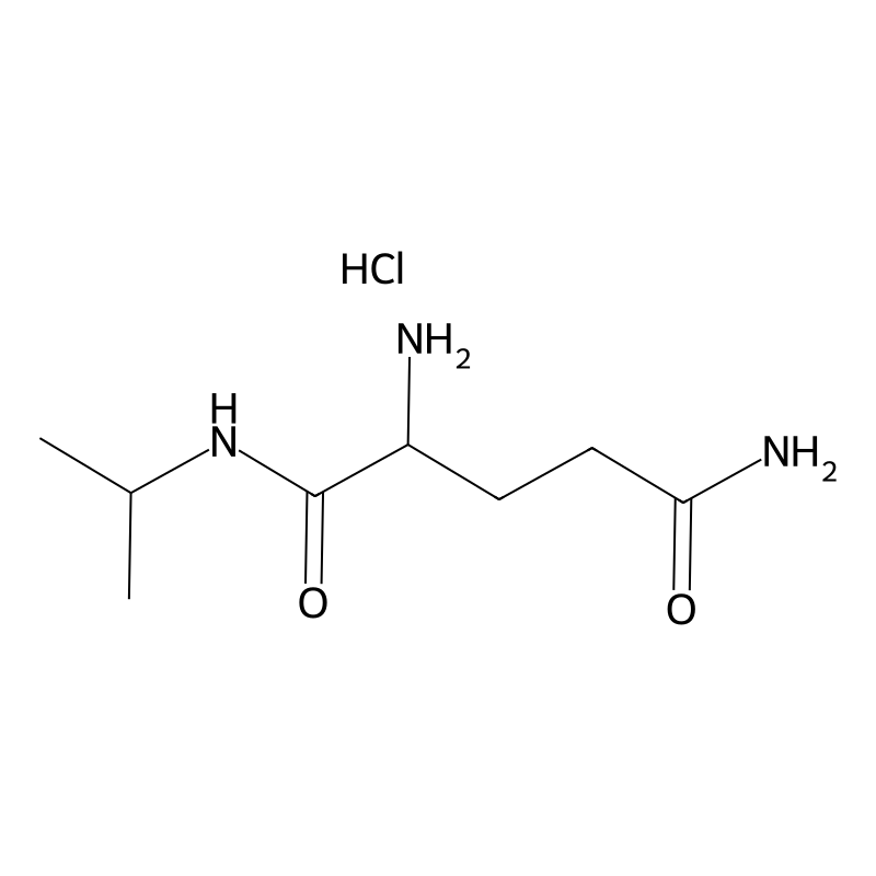 Buy N1-Isopropylglutamamide hydrochloride | 1869289-74-6