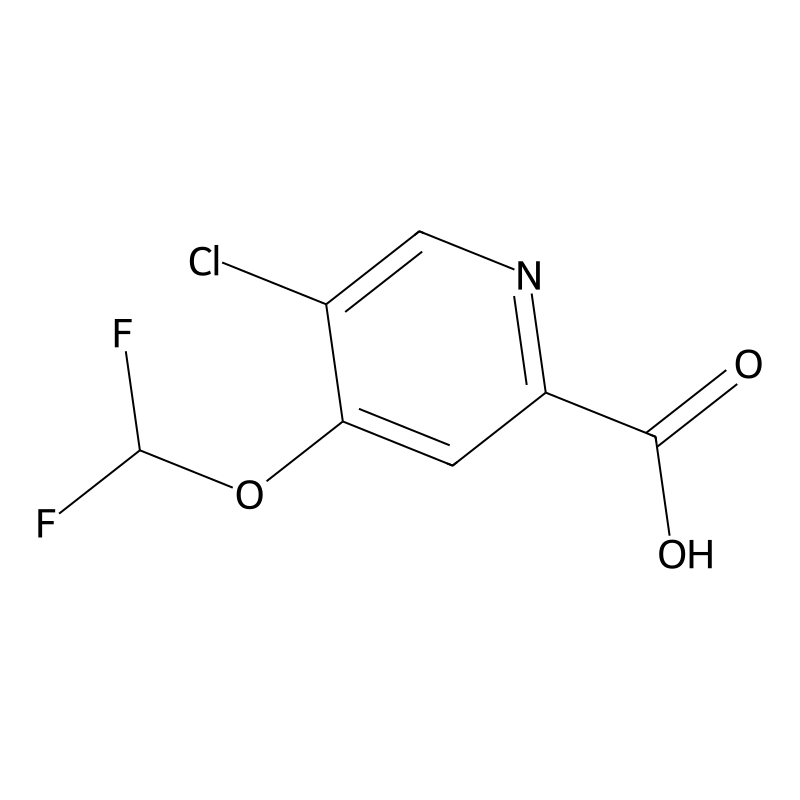 Buy 5-Chloro-4-(difluoromethoxy)picolinic acid | 1805028-61-8