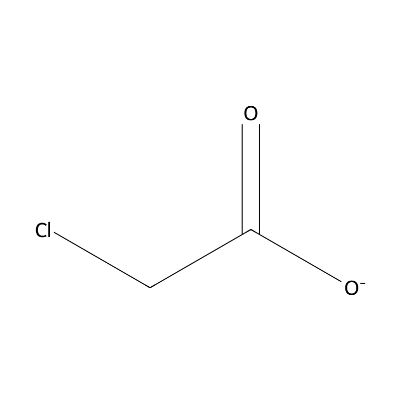 Buy Chloroacetate | 14526-03-5
