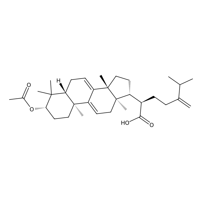 Buy Dehydroeburicoic acid monoacetate
