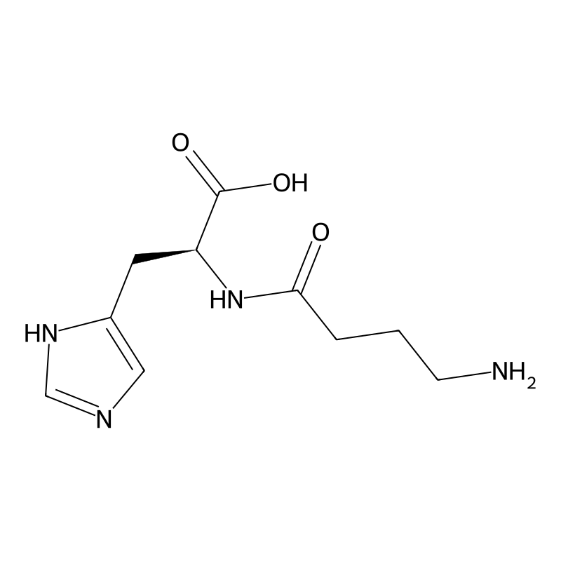 Buy Homocarnosine | 3650-73-5 | >98%