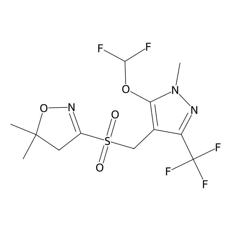 Buy Pyroxasulfone | 447399-55-5