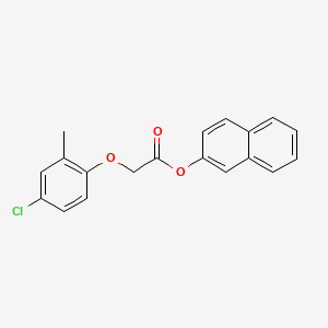 2-Naphthyl (4-chloro-2-methylphenoxy)acetate | S1640558 | smolecule
