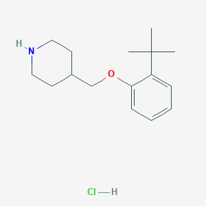 2-(tert-Butyl)phenyl 4-piperidinylmethyl ether hydrochloride | S892718 ...